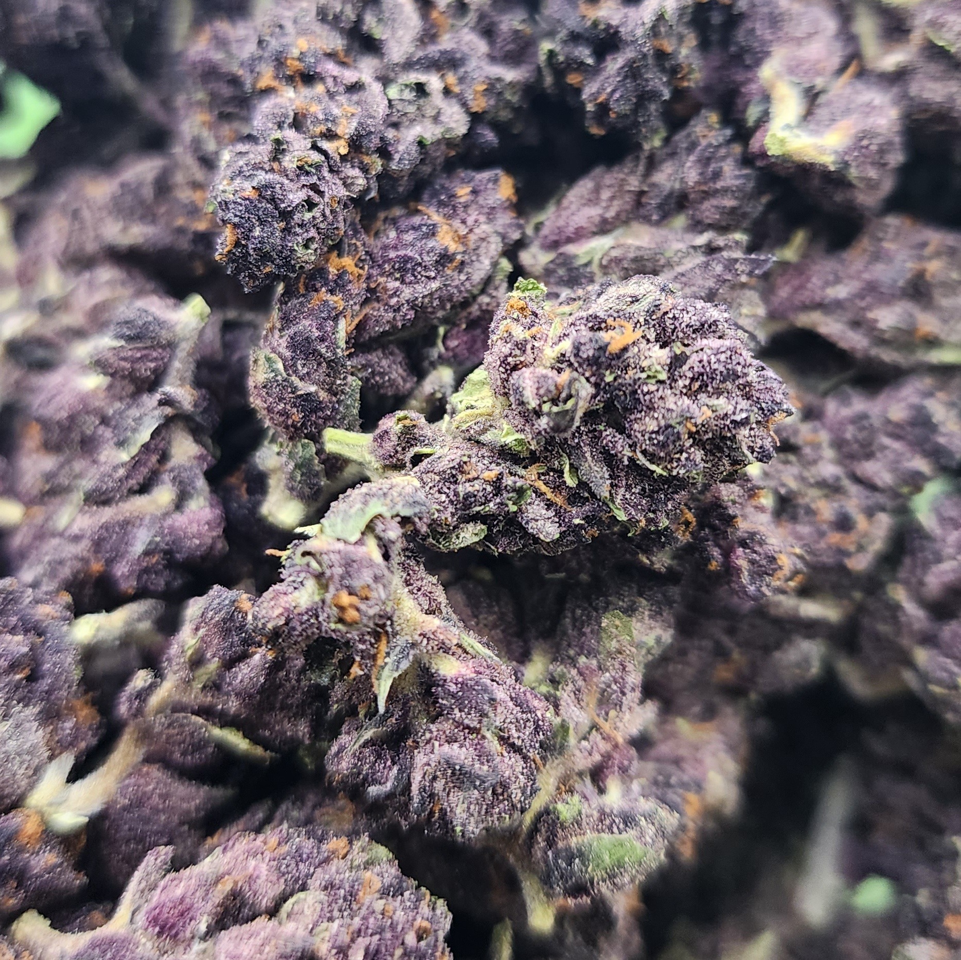 THCA Flower Delta 8 Denton Denton Dispensary THCA Flower Delta 8 Denton Denton Dispensary
